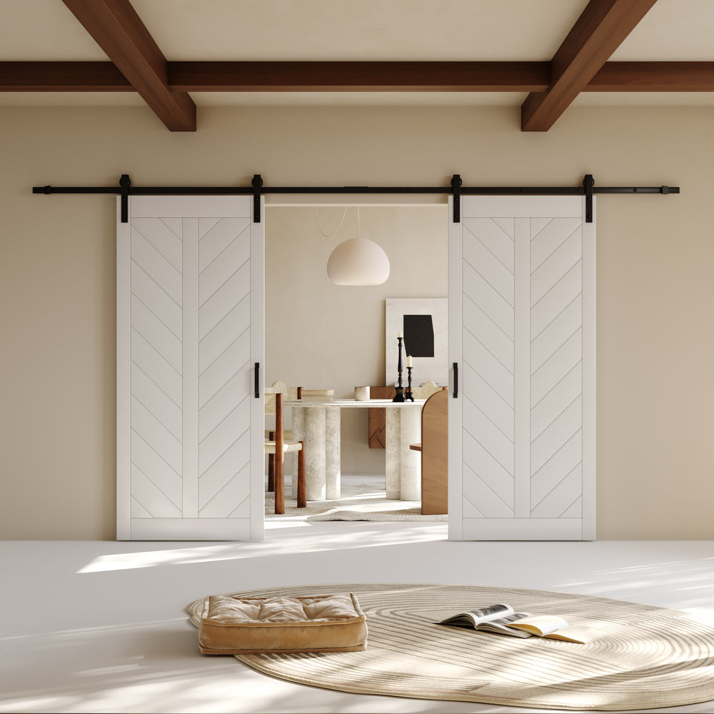 Double Barn Doors - Home Large Opening Solution | Ark Design